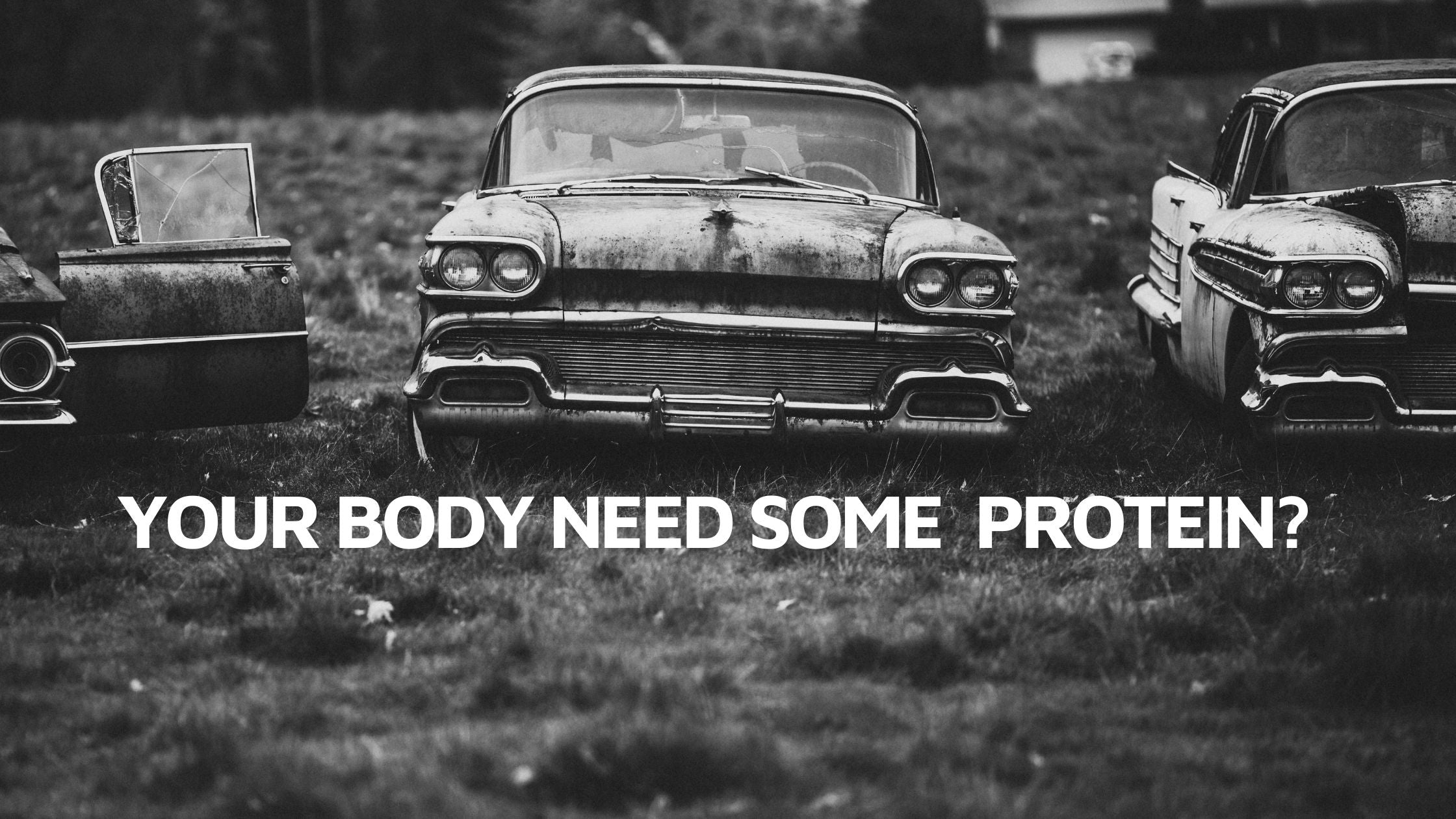 Protein User Guide. 3Ms of Muscle, Metabolism & Mass, – Old Bull Health